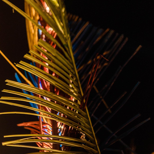 WorldTech IT Information Technology Consultants